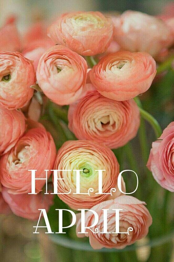 Hello April Flower Quote Pictures, Photos, and Images for Facebook ...