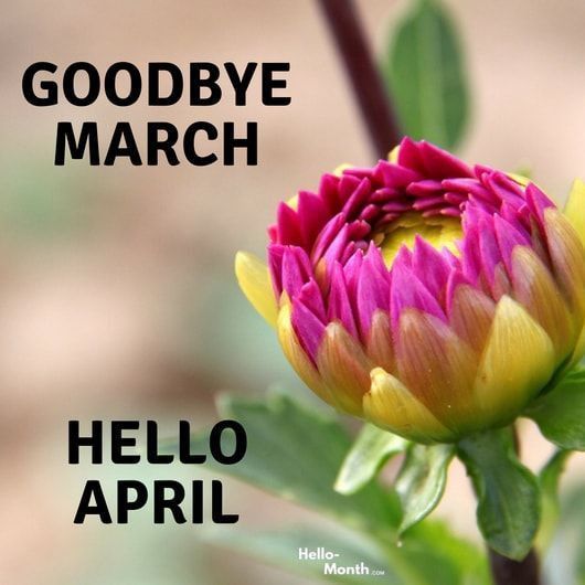 Goodbye March Hello April Pictures, Photos, and Images for Facebook ...