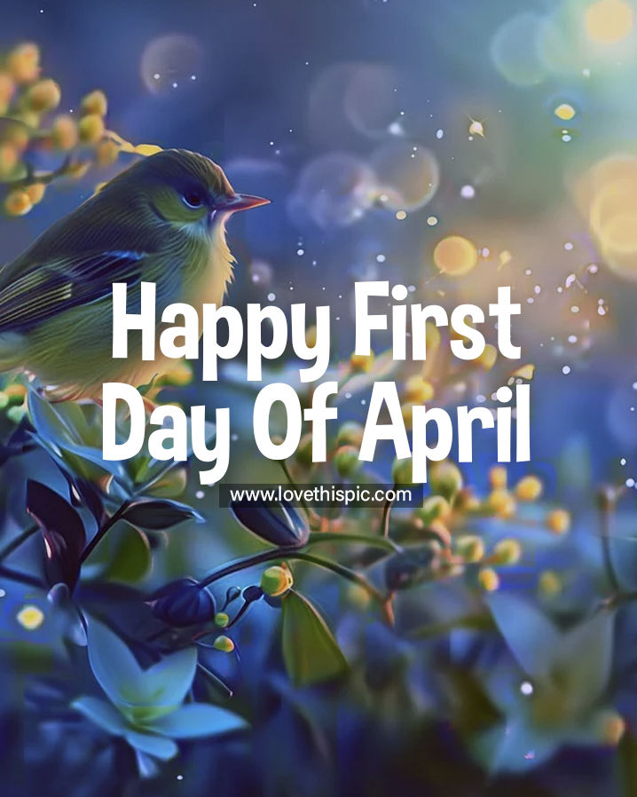 Pretty Hummingbird - Happy First Day Of April Pictures, Photos, and ...