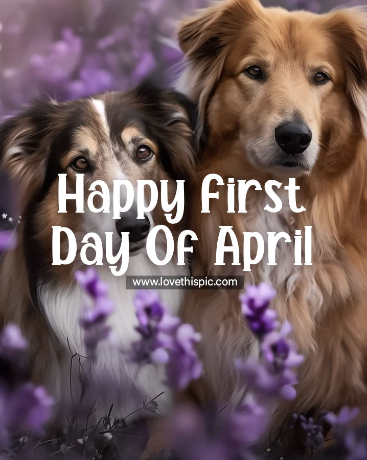 Happy First Day Of April Dogs Pictures, Photos, and Images for Facebook ...