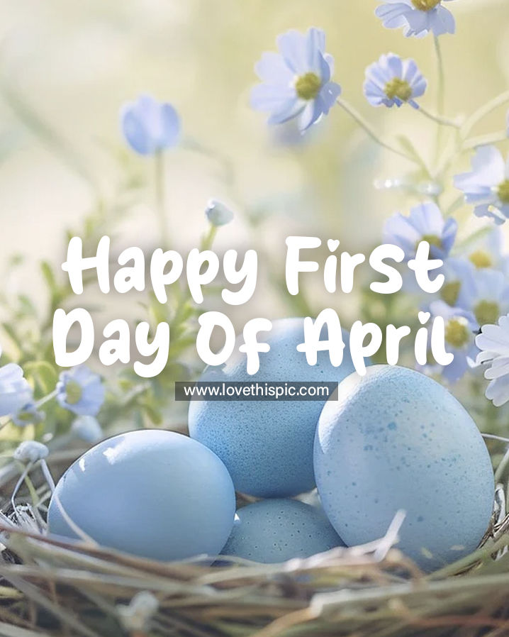 Blue Eggs In Nest - Happy First Day Of April Pictures, Photos, and ...