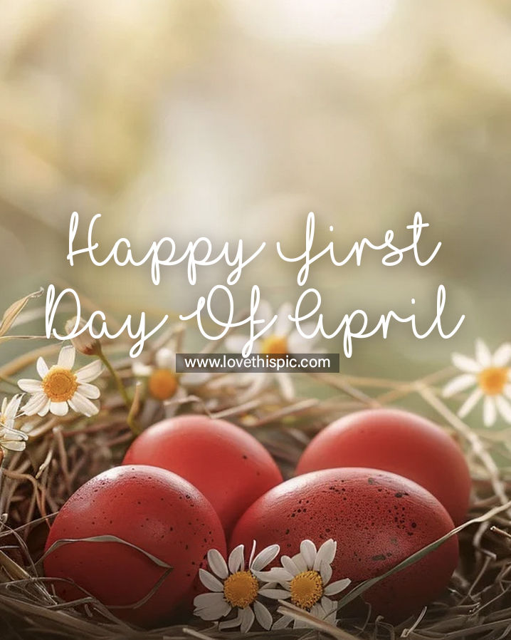 Daisy & Eggs Happy First Day Of April Pictures, Photos, and Images for ...