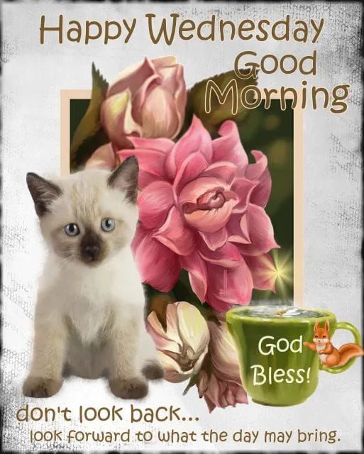 Don't Look Back...look Forward To What The Day May Bring. Happy ...