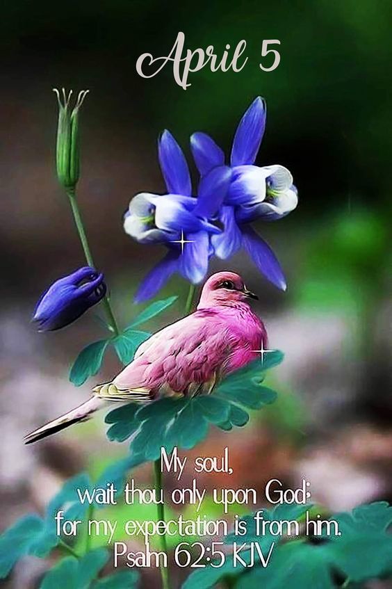 Psalm 62:5 April 5 Quote Pictures, Photos, and Images for Facebook ...