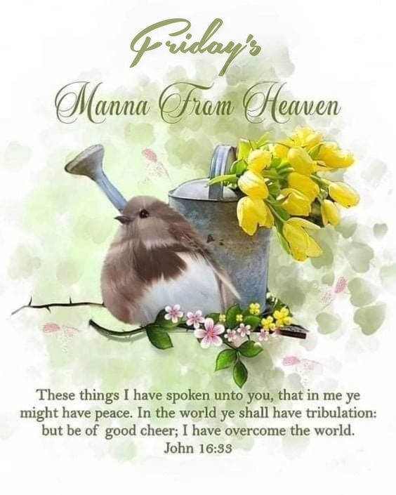 Friday Manna From Heaven Pictures, Photos, and Images for Facebook ...