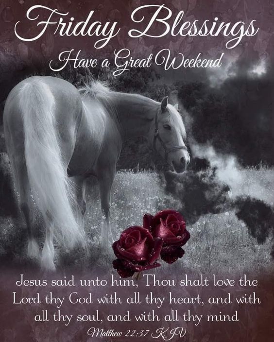 Friday Blessings, Have A Great Weekend Pictures, Photos, and Images for ...