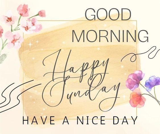 Good Morning Happy Friday Pictures, Photos, and Images for Facebook ...