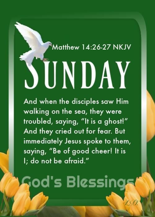 Sunday Bible Scripture Pictures, Photos, and Images for Facebook ...