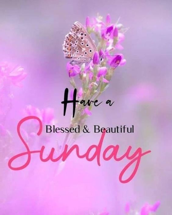 Blessed & Beautiful Sunday Pictures, Photos, and Images for Facebook ...