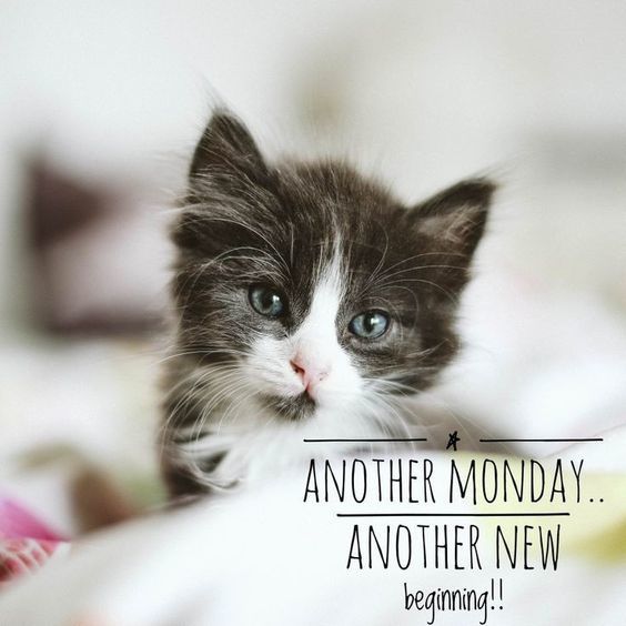 Another Monday....another New Beginning Pictures, Photos, and Images ...