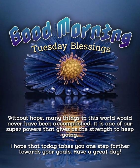 Good Morning Tuesday Blessings Pictures, Photos, and Images for ...