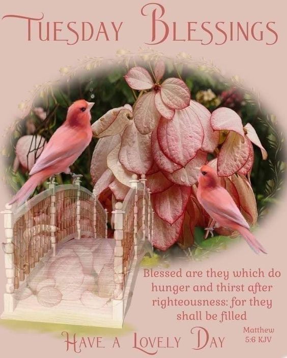 Pink Bird - Tuesday Blessings Pictures, Photos, and Images for Facebook ...