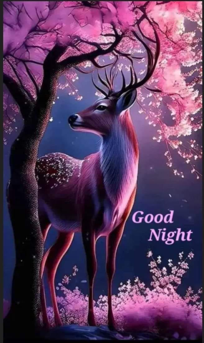 Deer And Cherry Blossoms - Good Night Pictures, Photos, and Images for ...