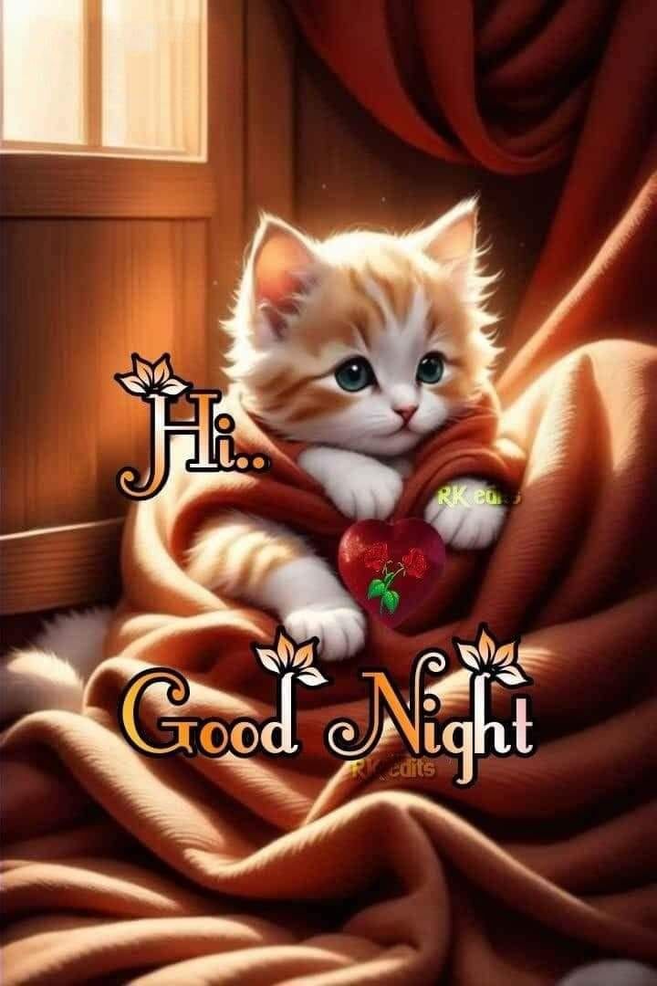 Hi, Good Night Pictures, Photos, and Images for Facebook, Tumblr ...