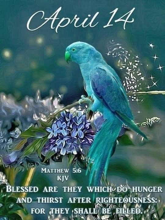 April 14 Pictures, Photos, and Images for Facebook, Tumblr, Pinterest ...