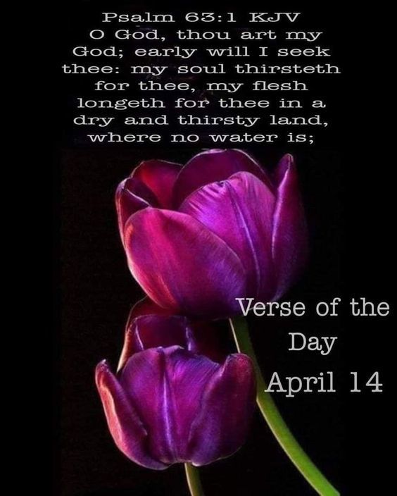 Psalm 63:1 Verse Of The Day For April 14 Pictures, Photos, and Images ...