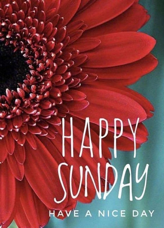 Happy Sunday, Nice A Day Pictures, Photos, and Images for Facebook ...