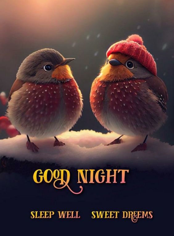 Good Night, Sleep Well And Sweet Dreams Pictures, Photos, and Images ...