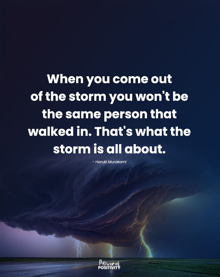When You Come Out Of The Storm, You Won't Be The Same Person That ...