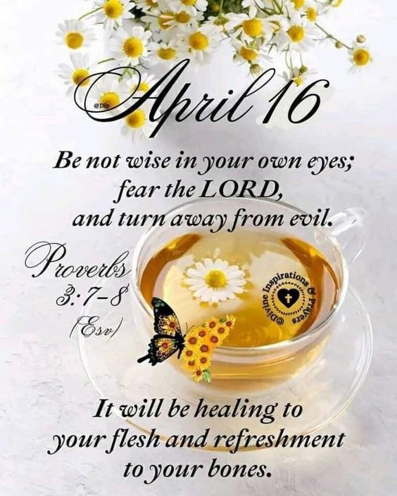 Be Not Wise In Your Own Eyes; Fear The Lord And Turn Away From Evil ...