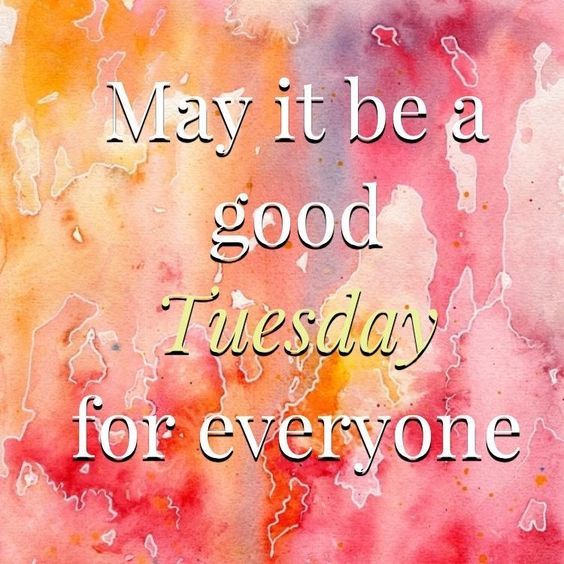 May It Be A Good Tuesday For Everyone Pictures, Photos, and Images for ...