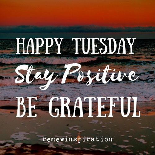 Happy Tuesday. Stay Positive, Be Grateful Pictures, Photos, and Images ...