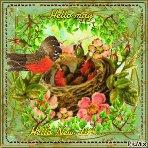 Hello New Life...Hello May Pictures, Photos, and Images for Facebook ...