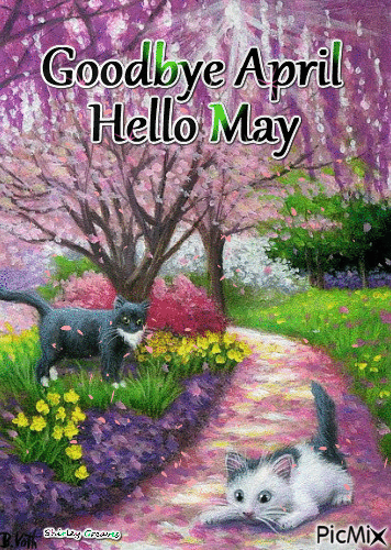 Cats In Garden - Goodbye April, Hello May Pictures, Photos, and Images ...