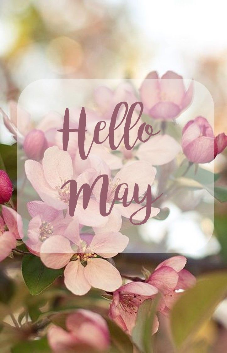 Floral Hello May Greeting Pictures, Photos, and Images for Facebook ...