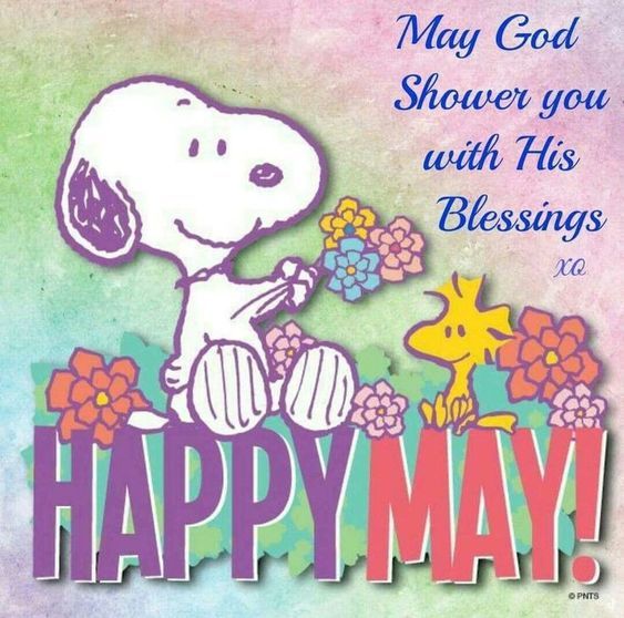 Happy May Pictures, Photos, and Images for Facebook, Tumblr, Pinterest ...