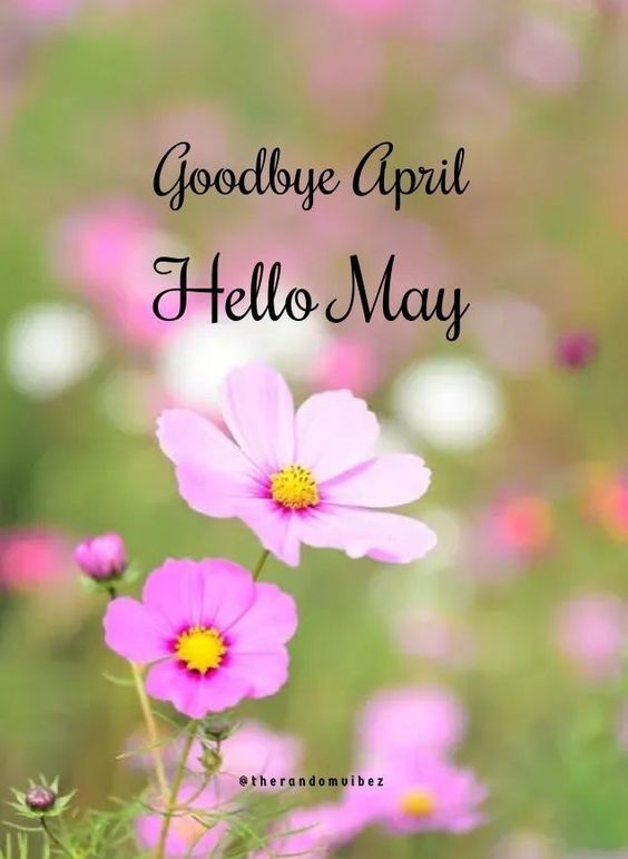 Goodbye April Hello May Pictures, Photos, and Images for Facebook ...