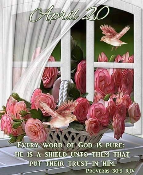 Proverbs 30:5 April 20 Scripture Pictures, Photos, and Images for ...