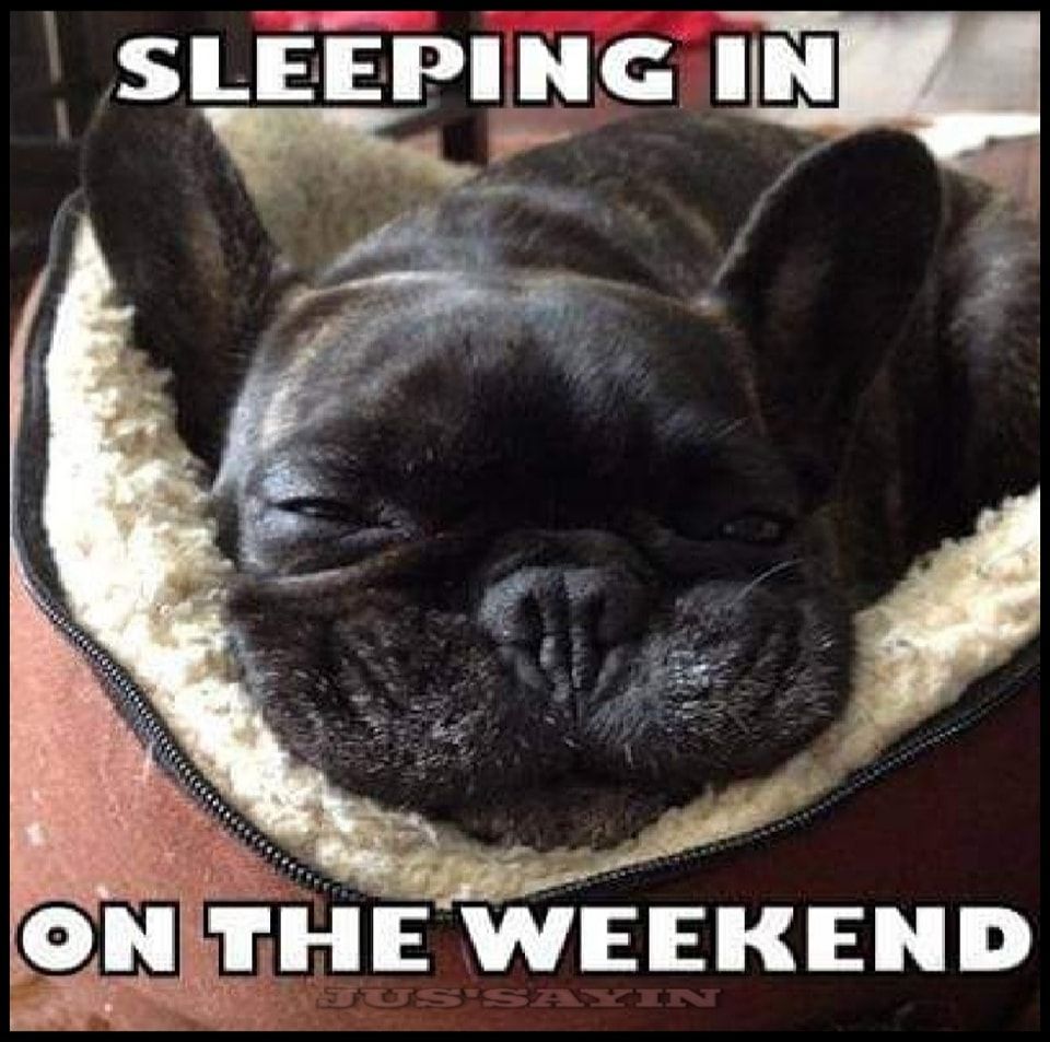 Sleeping In On The Weekend Pictures, Photos, and Images for Facebook ...