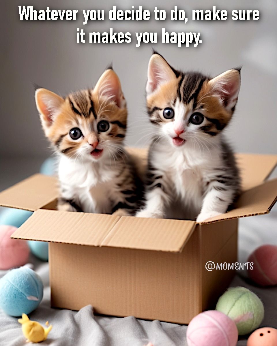 Whatever You Decide To Do, Make Sure It Makes You Happy. Pictures ...