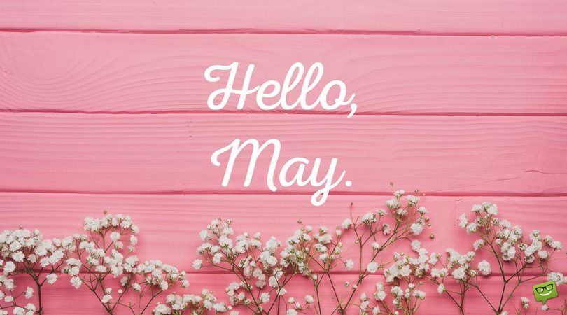 Hello, May With Pink Background Pictures, Photos, and Images for ...