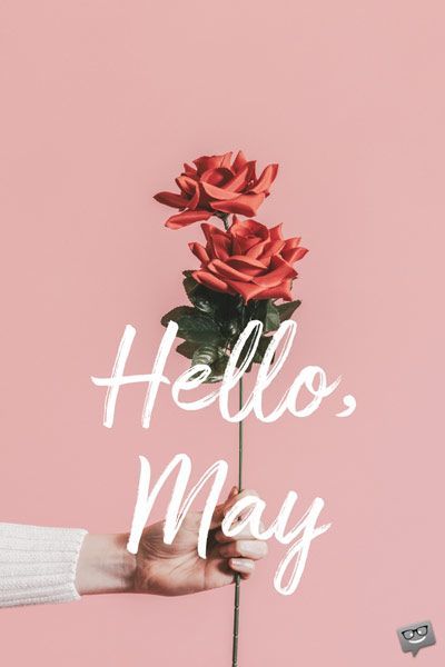 Twin Rose Hello May Quote Pictures, Photos, and Images for Facebook ...