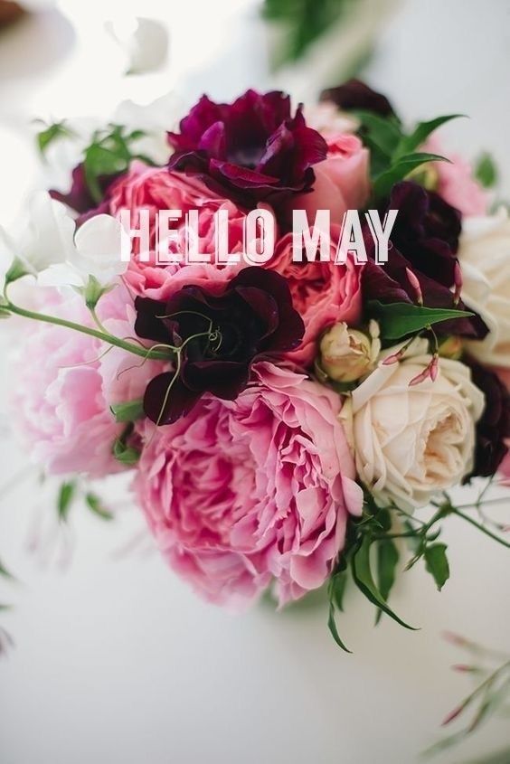 Peony Bundle - Hello May Pictures, Photos, and Images for Facebook ...