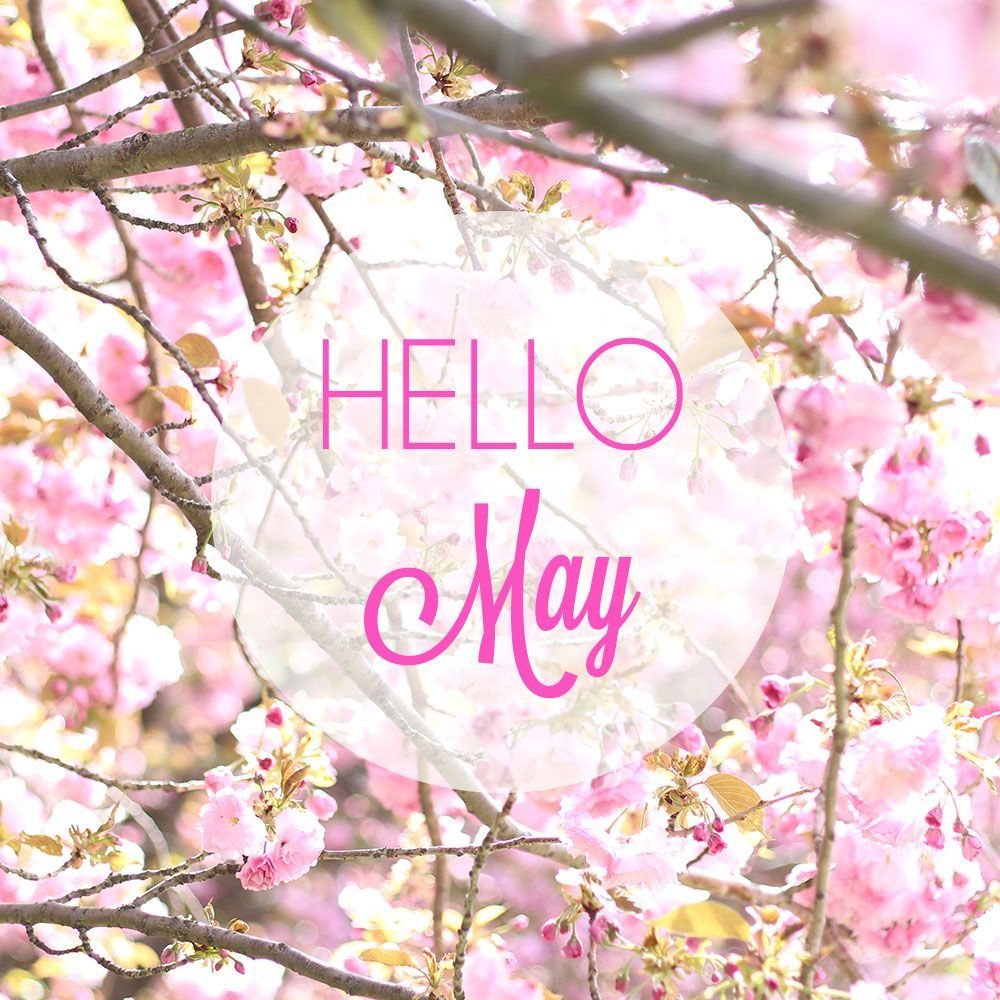 Hello May Cherry Blossom Quote Pictures, Photos, and Images for ...