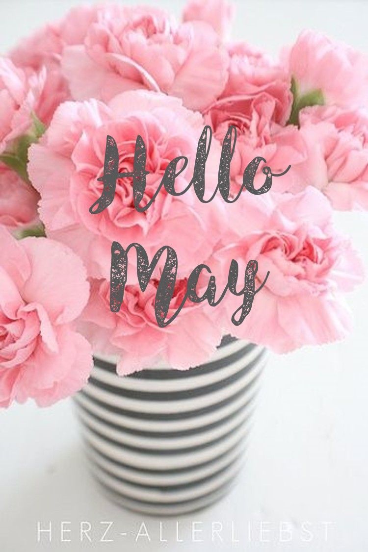 Pink Peonies Hello May Greeting Pictures, Photos, and Images for ...