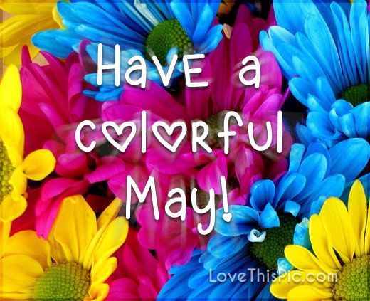 Colorful May Greeting Quote Pictures, Photos, and Images for Facebook ...
