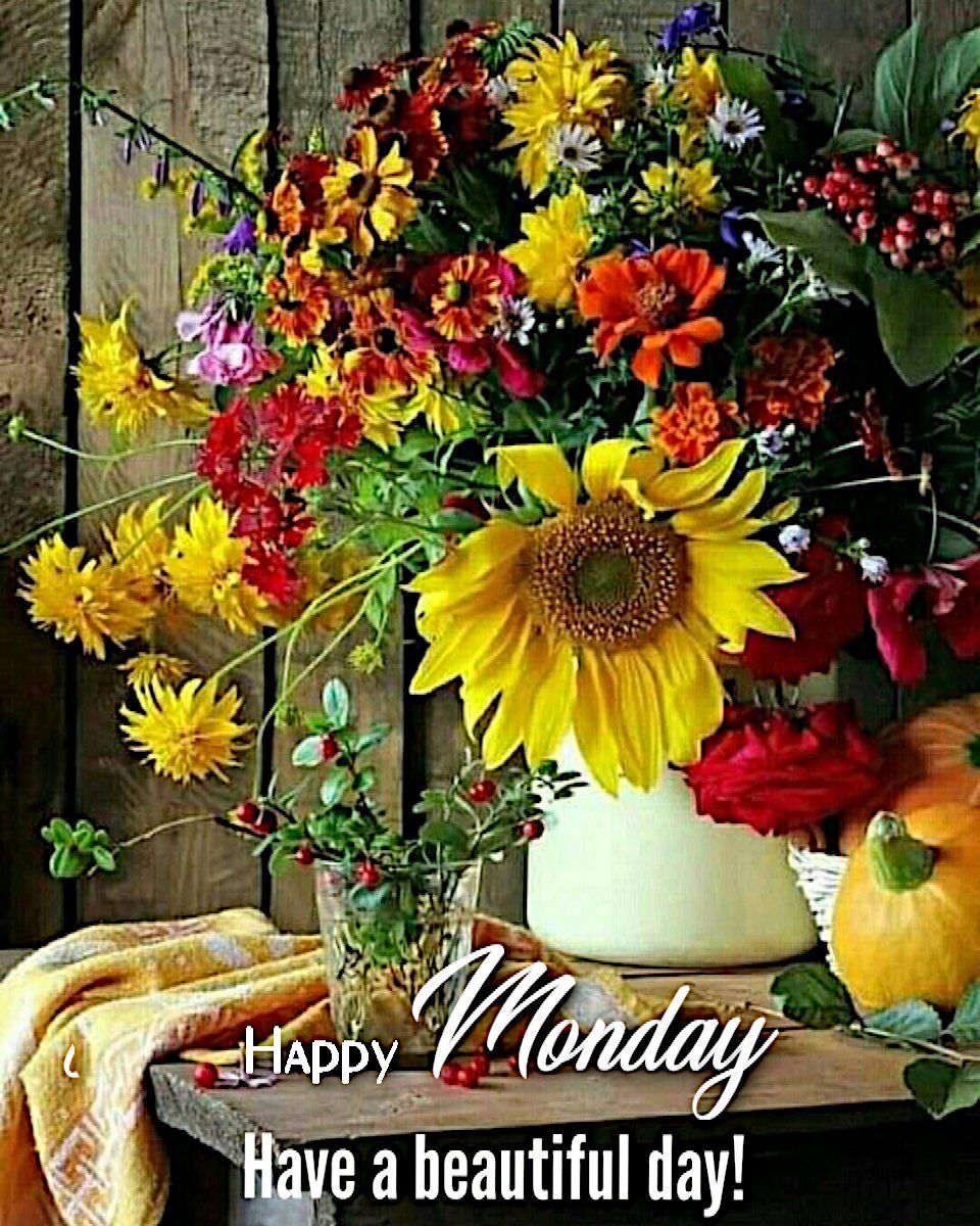 Have A Beautiful Day! Happy Monday Pictures, Photos, and Images for ...