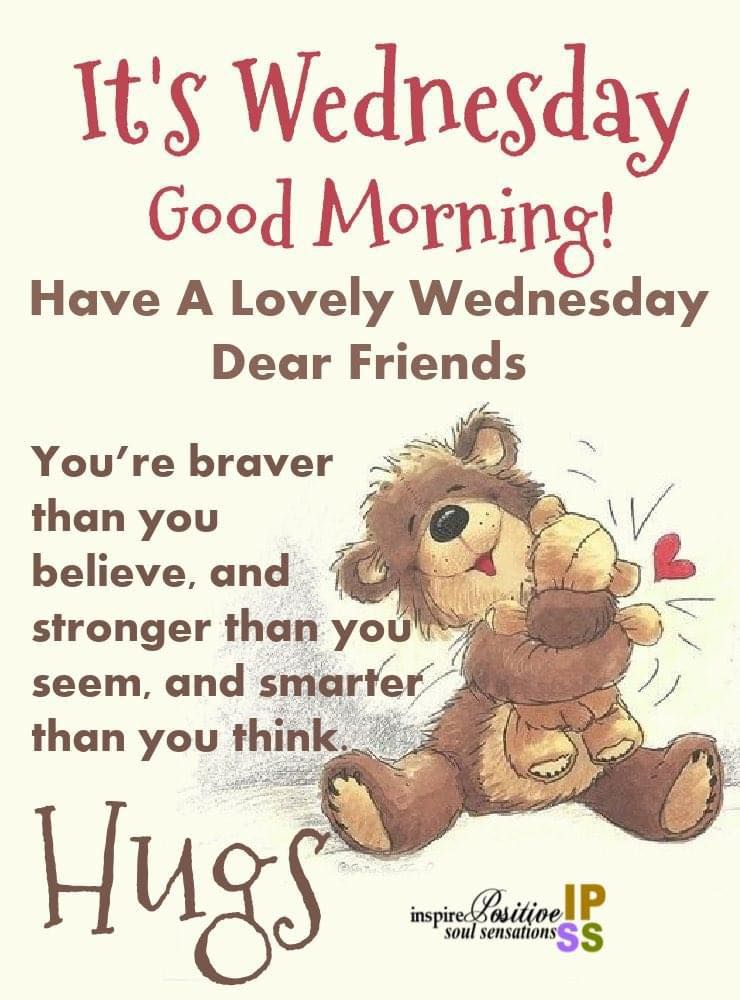 It's Wednesday Morning! Have A Lovely Wednesday Dear Friends Pictures ...