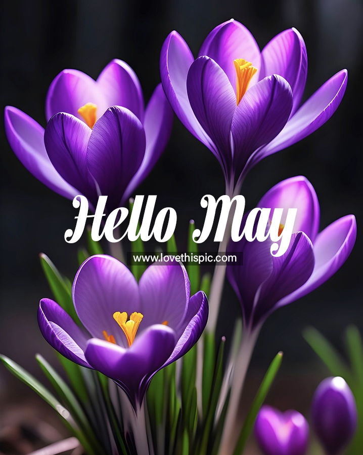 Hello May Pictures, Photos, and Images for Facebook, Tumblr, Pinterest ...