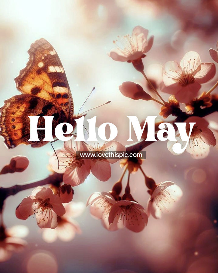 Hello May With Butterfly And Flowers Pictures, Photos, and Images for ...