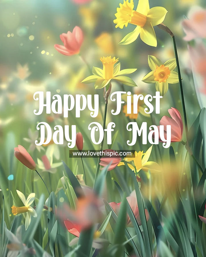 Spring Flowers - Happy First Day Of May Pictures, Photos, and Images ...