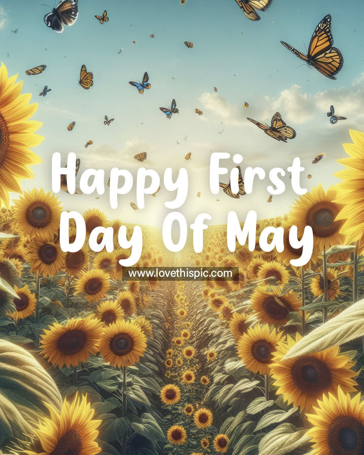 Butterflies & Sunflowers - Happy First Day Of May Pictures, Photos, and ...