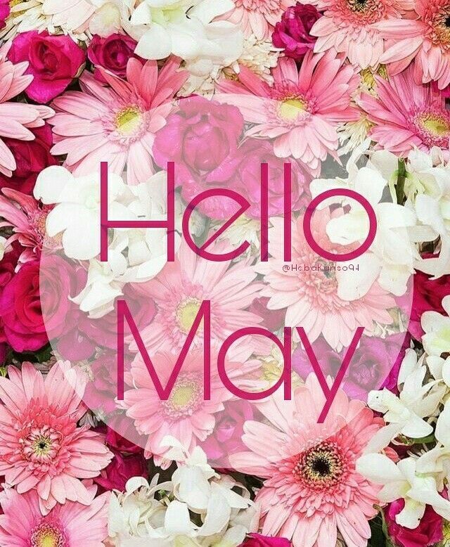 Hello May Flowers Pictures, Photos, and Images for Facebook, Tumblr ...