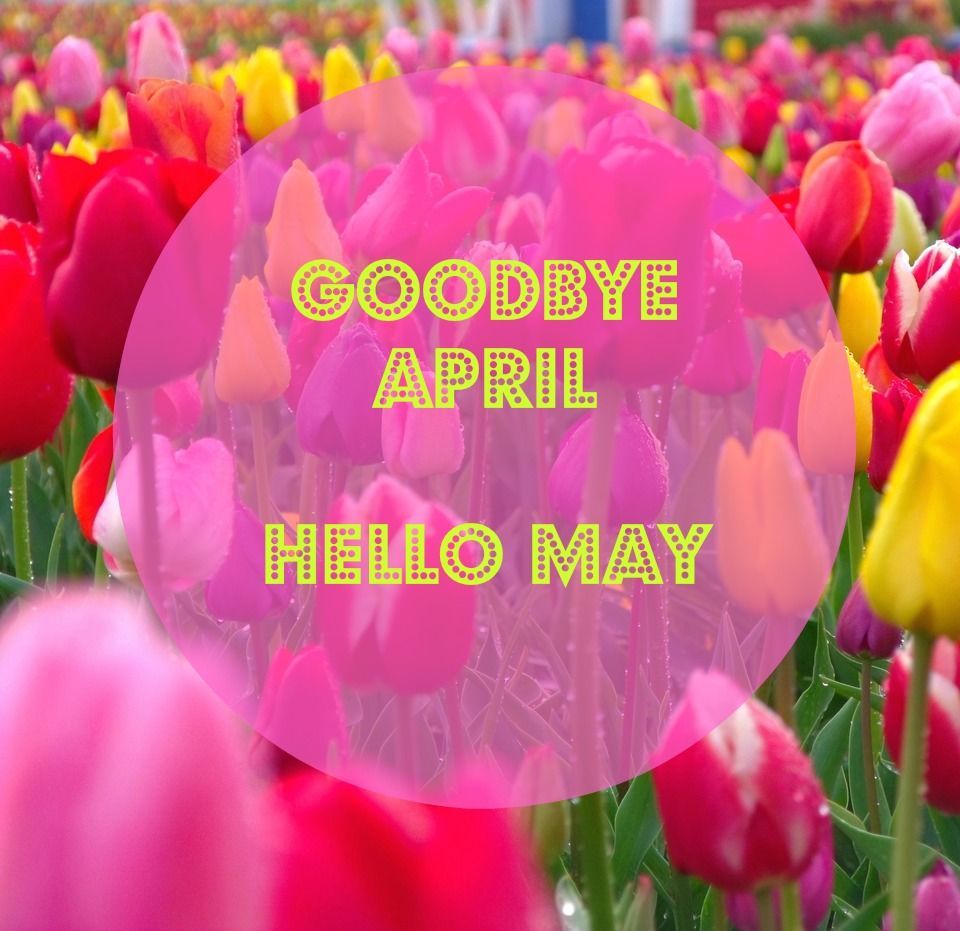 Colorful Tulips Goodbye April, Hello May Quote Pictures, Photos, and ...