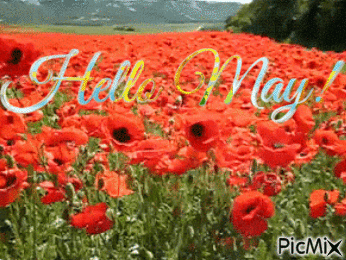 Hello May Pictures, Photos, and Images for Facebook, Tumblr, Pinterest ...