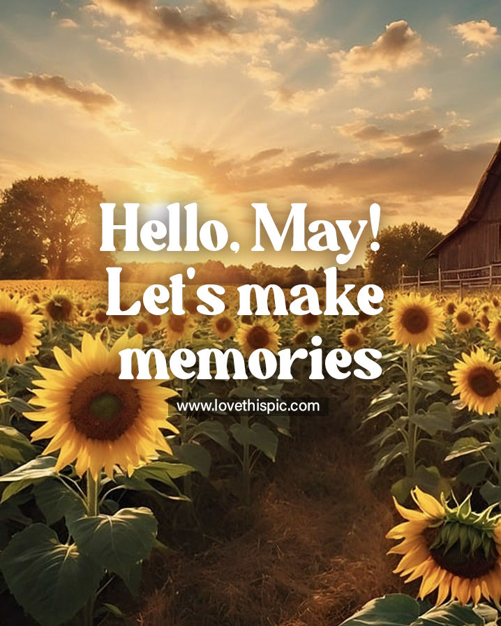 Hello, May! Let's Make Memories Pictures, Photos, and Images for ...